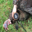 Powder Coated Aluminum / Slate Turkey Call – Gooseman Game Calls